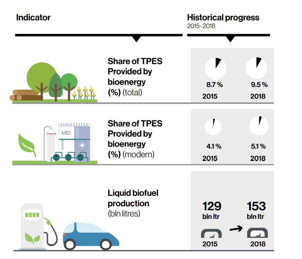Recycle: Bioenergy | Solar Now