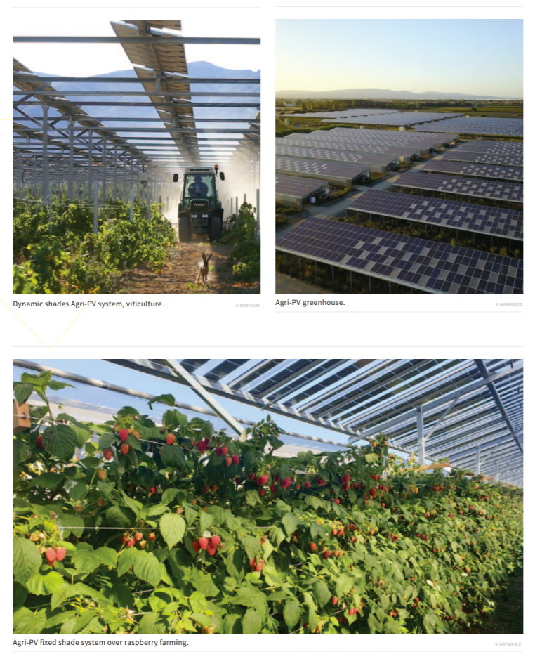 AGRI-PV: HOW SOLAR ENABLES THE CLEAN ENERGY TRANSITION IN RURAL AREAS ...