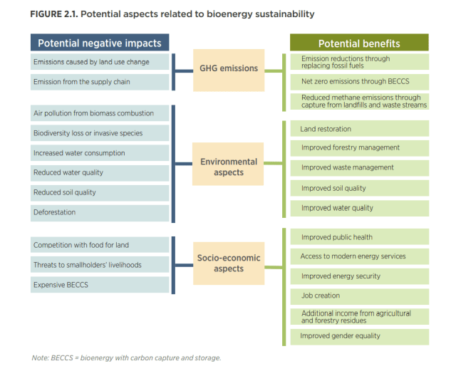 Bioenergy for the energy transition Ensuring sustainability and ...