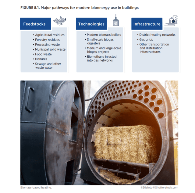 Bioenergy for the energy transition Ensuring sustainability and ...