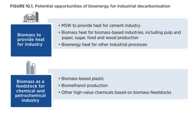 Bioenergy for the energy transition Ensuring sustainability and ...