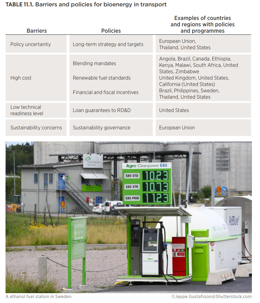 Bioenergy for the energy transition Ensuring sustainability and ...